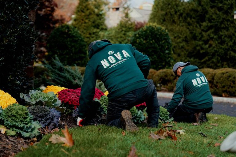 Nova Landscaping | Superior Lower Gwynedd Landscaping Company | Lower ...